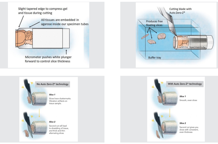 VF-300-0Z 小动物活体组织振动切片机